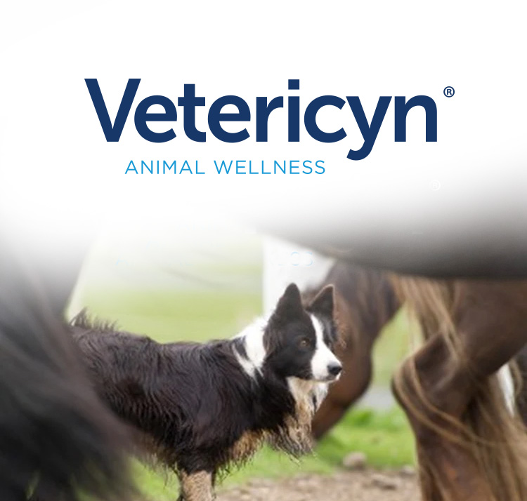 Vetericyn hoitotuotteet – Pia Pharma